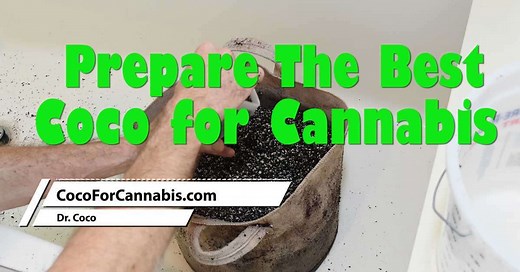 Coco Coir Bricks - How to Prepare and Buffer Coco Coir - Coco For Cannabis