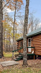 Off-Grid Log Cabin | Lost in Time
