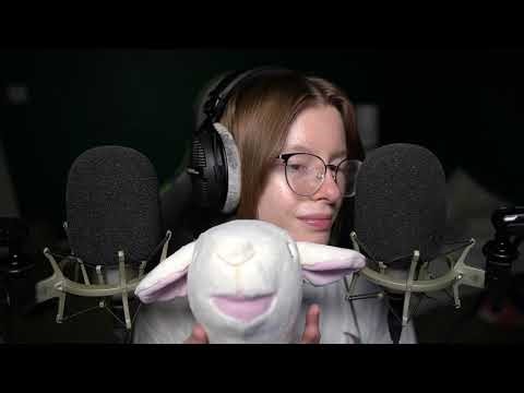 Time For Bed Count The Sheep ASMR