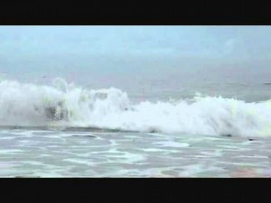 FRANK ZAPPA -- THE OCEAN IS THE ULTIMATE SOLUTION -- THE LEATHER VERSION