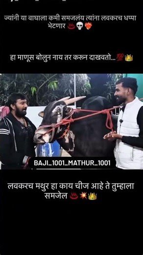 राहुल भाई पुह्ना युट्युबच्या मध्यमातून् नव मोटा करून दाखवणार #mathur #bailgada #full_support #viral