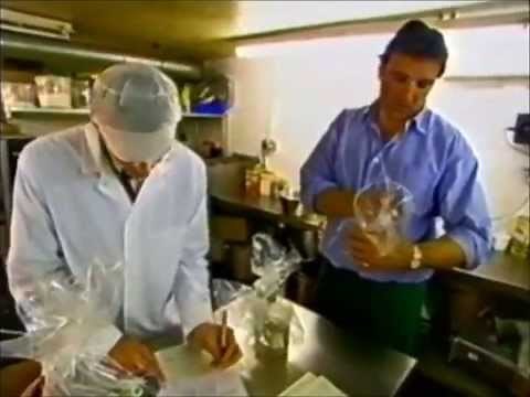 FSA food sampling advice 2: Sampling for analysis