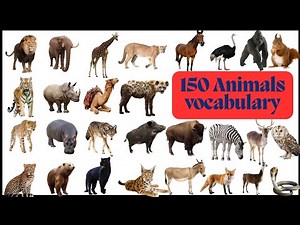 150 Animals Vocabulary | Animals Name in English with Pictures | Animal Names