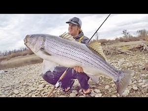 How To Catch Giant Fish From Shore