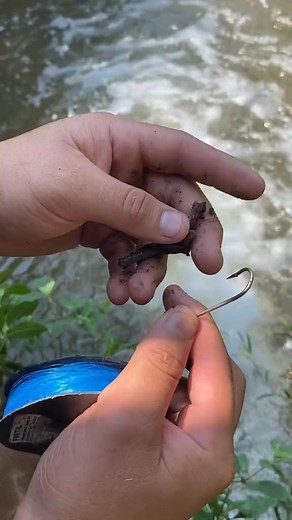 worm 🪱 #fishing | Insearchofthebigfish