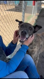 3.3K views · 132 reactions | *URGENT! - Emma: #A1226618, Female, 7...