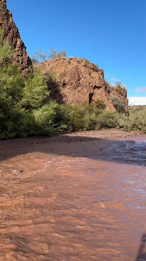 I think we might be staying in for a bit 😂 desert is happy 🌵 | Alpha Dog Connection
