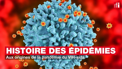 26K views · 129 reactions | Aux origines de la pandémie du VIH-Sida qui a fait 36 millions de morts dans le monde : quand et comment ce virus est-il passé du singe à l’homme ? Une longue histoire, complexe, retracée par le virologue Ahidjo Ayouba de l’IRD au micro de Caroline Lachowsky. | RFI Afrique | Facebook