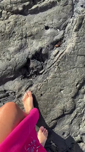Exploring Tide Pools: Uncovering Treasures and Wild Creatures!