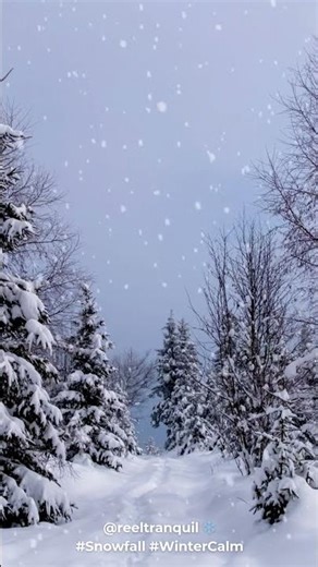 ❄️ Gentle Snowfall Calm | Relaxing Winter Loop #shorts