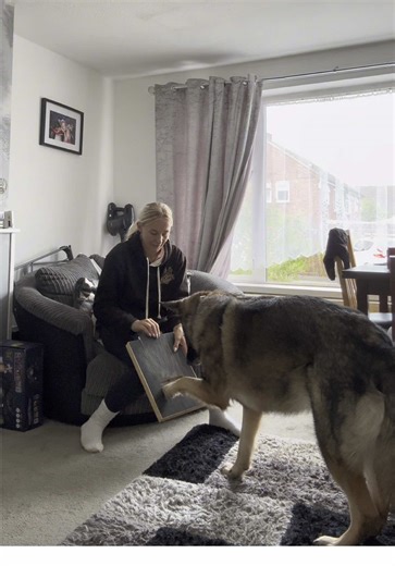 Effective Dog Nail Filing with Scratchboard Training