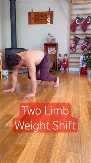 Two Limb Weight Shift (At Home Exercise Examples) #shorts