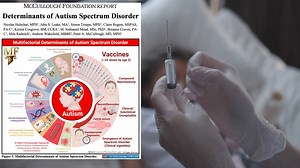 Autism represents the long-term expression of severe vaccine-induced brain damage. Injecting 32 vaccines into small infants triggers encephalitis and neuron loss. | Nicolas Hulscher