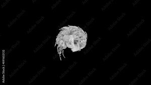 Animated simulated hurricane in time lapse or eye of tornado spinning counterclockwise against transparent background. Top view shot - Full length