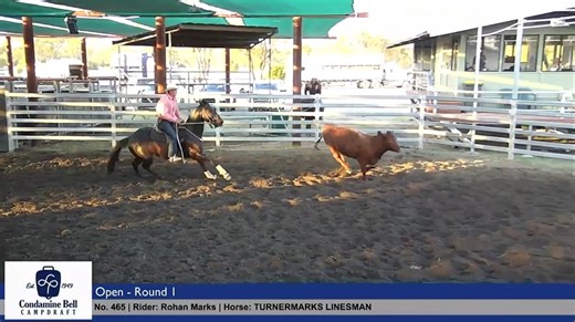 ❌ TURNERMARKS LINESMAN's ONLINE CONTRACT now available. Simply create an account, login and let STINDER do the work for you. Full details: 👉 www.turnermarkslinesman.com.au TurnerMarks Campdrafting Enjoy LINESMAN & Rohan Marks' 90 point run in Rd1 of The Bell. Video thanks to Condamine Bell Campdraft. Sponsors: Condamine Seeds and Tara Rural Supplies &Tyres | Select Sires