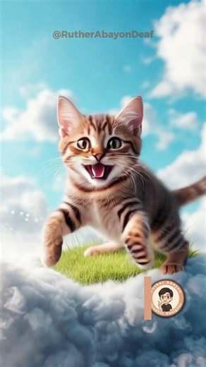 A CUTE KITTEN SITTING ON THE CLOUDS ☁️🐾 #kitten #sky #shorts