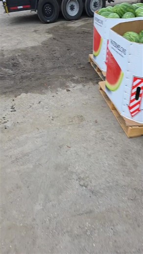 Holistic | IMANI DARIN DIGGS on Instagram: "We running back to Cali ASAP"