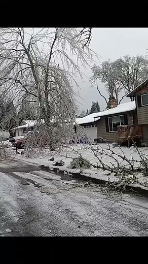 Unbelievable Ice Explosions: Massive Chunks Break Free From Trees!