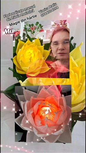 Magie Din Hârtie | Viorica Ratiu