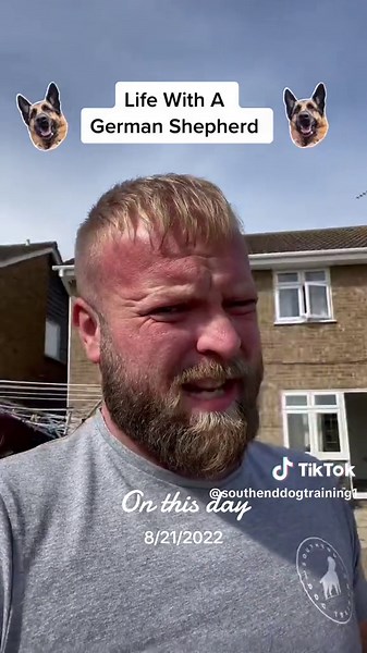 Living with a German Shepherd: Loyalty and Boundaries