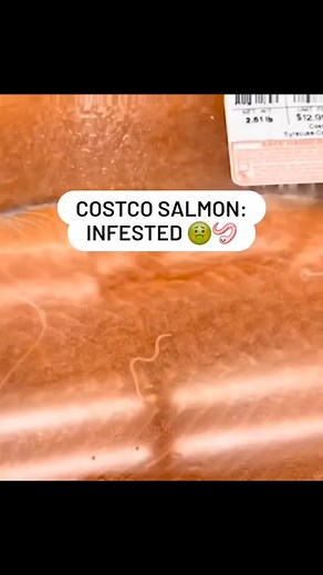 13M views · 19K reactions | I keep telling y’all to leave that mess alone smh. Worms just flowing through the fish 臘‍♂️臘‍♂️臘‍♂️臘‍♂️ Audi-Yo #fruitup #costco | Audi-Yo | Facebook