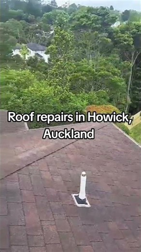 How to repair a shingle roof in Auckland