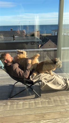 Jacob Schøn | When home 🏠❤️🐶 | Instagram