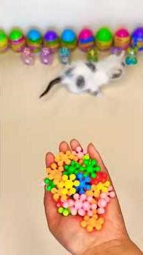 😹 Funny Cat & Colorful Beads 🟣🌈 Marble Reverse Magic! #ASMR #Reverse