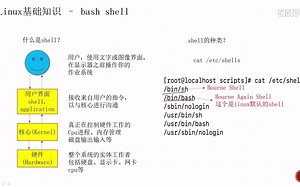 5-1认识bash shell