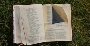 Video by Rodolfo Angulo A. on Pexels