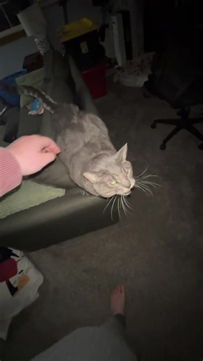 Therubysys (@the_john_reaper)’s videos with Staff Roll - Instrumental Version - 3000m