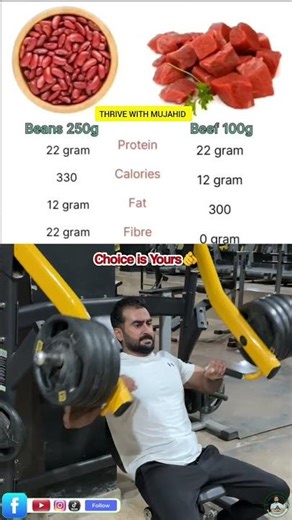 Best Budget Protein Meal: 250g Beans & 100g Beef | Macros & Calories | Muscle Meal Breakdown