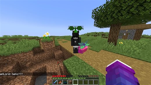 [PlanetLord] Joining Random People's Minecraft Servers