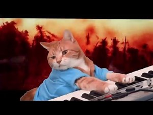 Keyboard Cat Awakens The Force