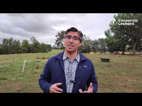 CMT: Tutorial Prueba de Mastitis California, Área Producción de Leche Consorcio Lechero.