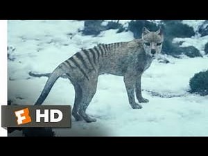 Extinct or Alive The Tasmanian Tiger (2016) with Forrest Galante, Nick Mooney, Mary-Ann Ochota Movie