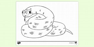 Baby Snake Colouring Page