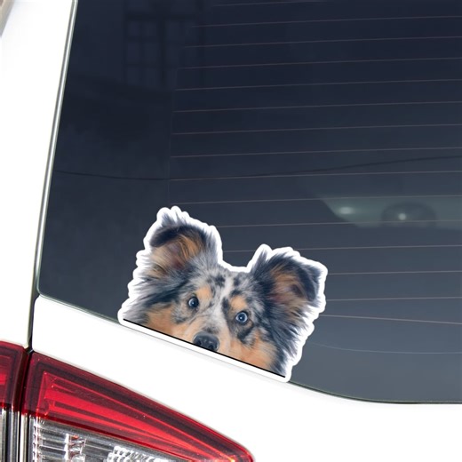 Blue Merle Sheltie Car Decal - Peeking Shetland Sheepdog Sticker - Etsy.de
