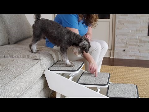 How to Train your Dog to use the CozyUp™ Steps & Ramp Combo