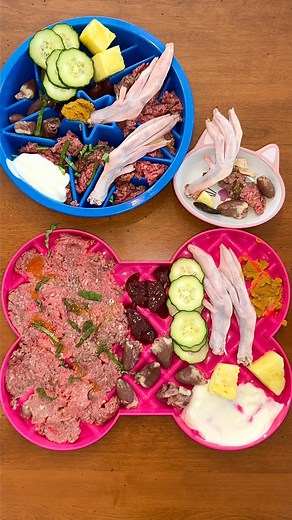 Dinner time for my dogs on a raw diet 🥩👑🐶 #dogs #dogmom #dogfood #rawfeddog #dog #dogtreats #kibble #reels | Kayla Kowalski Nutrition