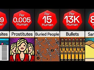 Comparison: How Many ____ Per Human Being