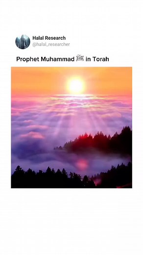Prophet Muhammad in Torah