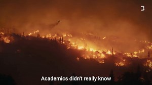 "Her placenta looked like she's been a pack-a-day smoker." A woman who was pregnant during Australia's "Black Summer" reported a horrifying birth story following wildfire smoke exposure. More about the health impact of bushfires: youtu.be/htGnXYcSlms | Bloomberg Originals