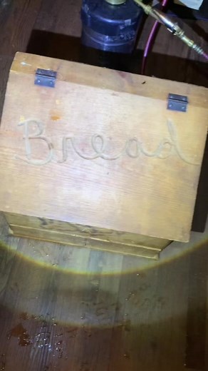 Cockroach Flavored Bread - What's Inside?