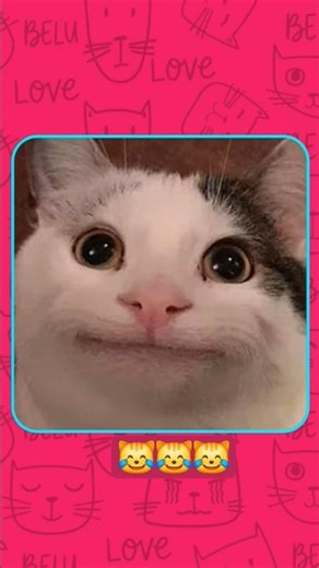 Funniest Cat Meme Compilation 2025 😹 #shorts