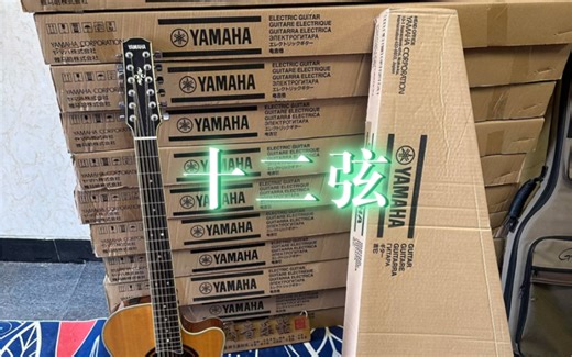 雅马哈apx700ii-12，十二弦吉他，单板电箱琴