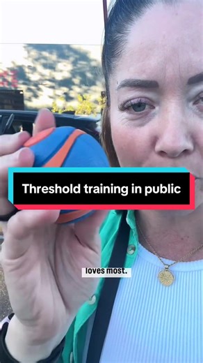 Threshold training ‼️ One of the top five life skills every dog should learn. Most people think of it only for front doors and gates, but it’s even more critical in public spaces, especially when exiting your car. Does your dog understand that they must wait and not cross a boundary until they’re invited? If not, it only takes one moment for an accident to happen. If you haven’t already, make this skill a priority.#dogtraining #dogtrainingadvice #dogtrainer #dog