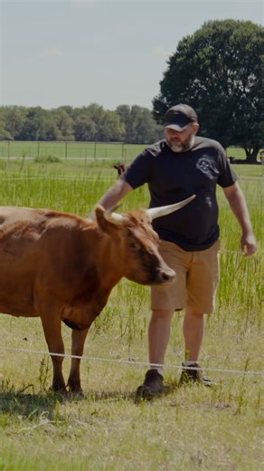 1.8K views · 27 reactions | We recently took a trip out to Decatur to visit with Heather and Richard with Dos Lobos Ranch. You can find their full video here: https://youtu.be/U620ohYONZE | Downtown Sanger Farmers Market | Facebook