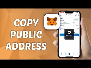 How to Copy Public Address on MetaMask