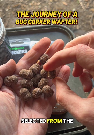 🎣 If you’re struggling to get bites, this is the bait you’re missing. The DNA Baits Bug Corker Wafters are an absolute carp-catching weapon. Designed for perfect pop-up balance, these cork dust wafters sit naturally over your rig, making them incredibly hard for carp to ignore. Packed with Bug Protein, natural attractors, and proven DNA Baits flavour, they’re ideal for bottom bait rigs, Ronnie rigs, and slip-D presentations. Whether you’re day-session fishing or long campaigns, these wafters ar
